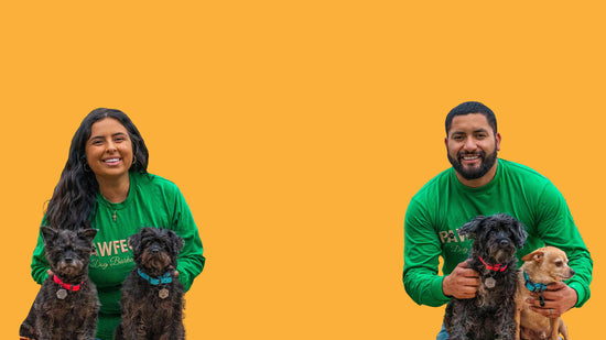 Pawfect Dog Barkery – pawfectdogbarkery